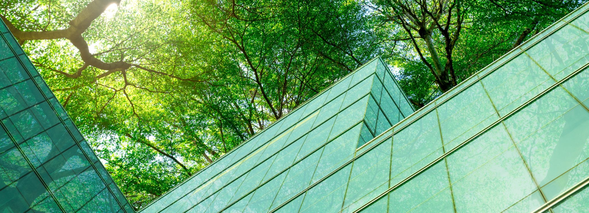 Wired and Wireless Sensors in Smart Buildings | EnOcean Alliance